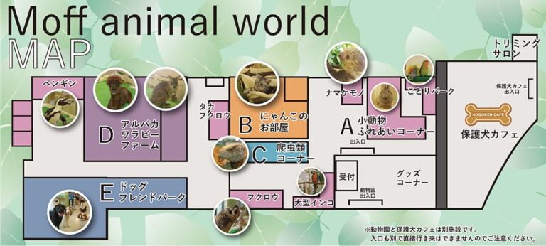 【Moff animal world モフアニマルワールド BIGHOP ガーデンモール印西店】80種類以上の動物達と触れ合える大人気の屋内型 ...